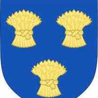 Lord of Badenoch Walter de Valloniis Comyn, x (1180–1258)