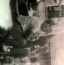 Mary W. Bolling (1893–1975) • FamilySearch