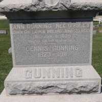 Dennis Gunning (1824–1911)