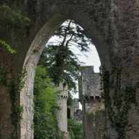 Thomas Culpeper (1599–1661)