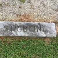 Hugh Yancey Stribling (1893–1927) • FamilySearch
