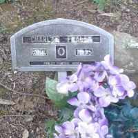 Charles Wesley Fraley (1853–1915) • FamilySearch