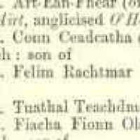 Ard-Rí na hÉireann Fedlimid Rechtmar mac Tuathal HIGH KING OF IRELAND ...