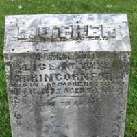 Alice M Barker (1859–1893)