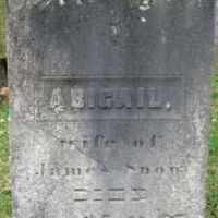 Abigail Farr (1770–1838)