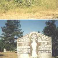 Alexander David Mormon (1844–1928) • FamilySearch