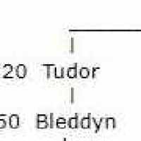 Tudor II ap Bleddyn I (1120–)