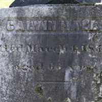 Calvin Hall (1789–1855)