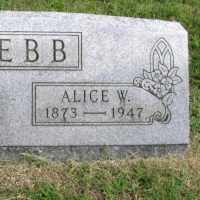 Alice Waller McEuen (1873–1947) • FamilySearch