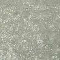 Daniel Parke Custis Jr (1751–1754)