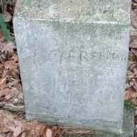 Sarah M 'Spicy' McClatchie (1823–1901) • FamilySearch