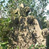 Mary Alice Smith (1863–1908)