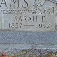 Sarah Frances York (1857–1942)