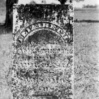 Elizabeth Browne (1775–1851)