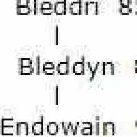 Bleddyn ap Bleddri (0890–)