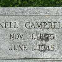 Nelle Wolfe (1875–1945) • FamilySearch