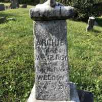 Archibald "Archie" DeGraw (1891–1891) • FamilySearch