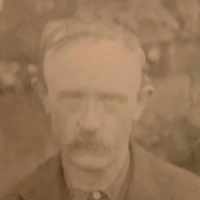 Thomas Calvin Marion "Tom" Greer (1867–1938) • FamilySearch