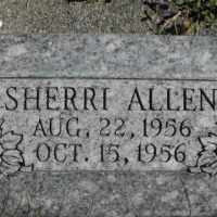 Sherri Allen (1956–1956) • FamilySearch