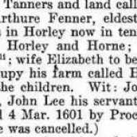 Mary Elizabeth Bellingham (1544–1614)