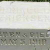 Donald Lofgren Ericksen (1910–1910) • FamilySearch