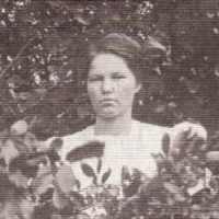 Eferbia Elizabeth Colvin (1863–1900) • FamilySearch