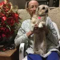 Judith Corrine Harvey (1941–2017) • FamilySearch