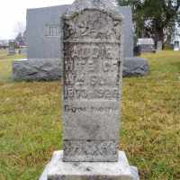 Addie Witt (1873–1920) • FamilySearch
