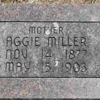 Agnes O'Connor (1877–1903) • FamilySearch