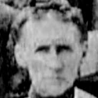 Sarah Frances Williams (1864–1924) • FamilySearch