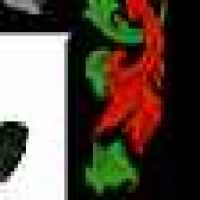 Lady Janet Forrester (1496–1609)