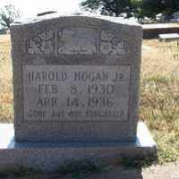 Thomas Harold Hogan Jr (1930–1936) • FamilySearch