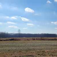 Rossie Mae Phennis West (1960–1995) • FamilySearch