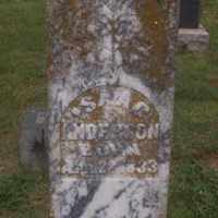 Isaac Anderson (1833–1909)