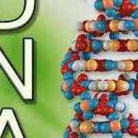 Abraham bedford Venable sr (1662–1710)