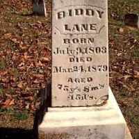 Biddy Lewis (1803–1879) • FamilySearch