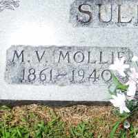 Mary Vashti Mason (1861–1940) • FamilySearch