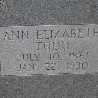 Ann Elizabeth Allison (1861–1930)