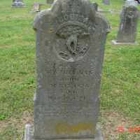 Louisa Wade (1834–1881)