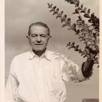 Albert Sidney Johnson Tabb (1884–1958) • FamilySearch