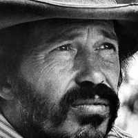 Warren Mercer Oates (1928–1982) • FamilySearch