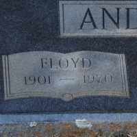 James Floyd Anderson (1901–1970) • FamilySearch