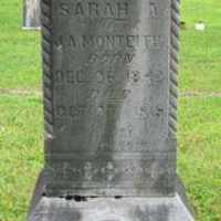 Sarah Asenath Brendle (1842–1915) • FamilySearch