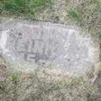 Sophia Graulich (1845–1920)