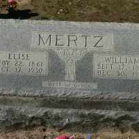 Johan Wilhelm Mertz (1855–1939) • FamilySearch