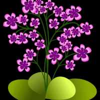 Richard Le Pelletier (1400–1486) • FamilySearch