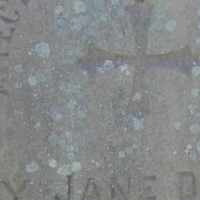 Emily Jane Denning (1851–1905) • FamilySearch