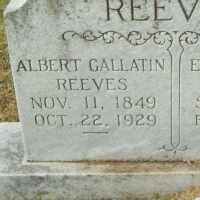 Albert Gallatin Reeves (1849–1929) • FamilySearch