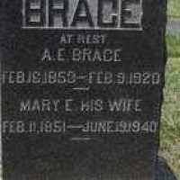 Albert Elisha Brace (1853–1920)