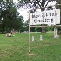 John Satterwhite Wilkerson (1819–1892)